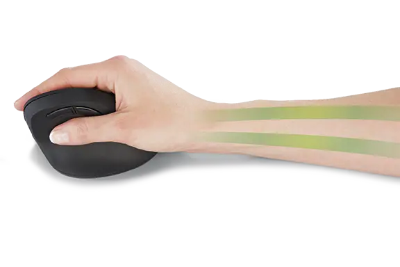 Vertical, Ergonomic Vertical, Ergonomic